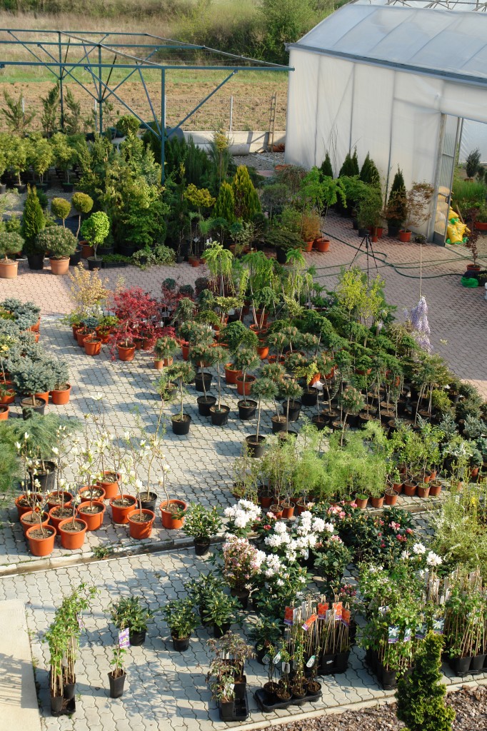 O nama - Rasadnik Manojlović